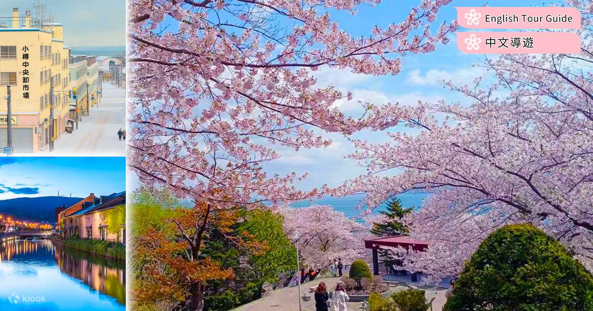 [Cherry Blossom Viewing Limited] Hokkaido Shiroi Koibito Factory, Otaru ...